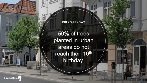 Designing Trees into the Urban Landscape